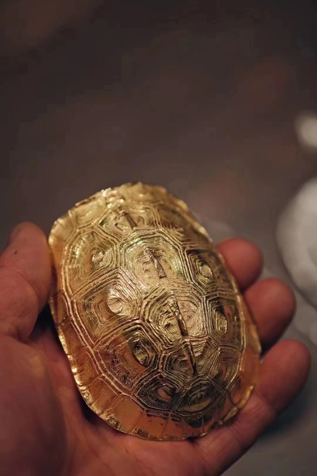 Silver Turtle-shell Like Tea Scoop With Long Tea Spoon for Serving ...