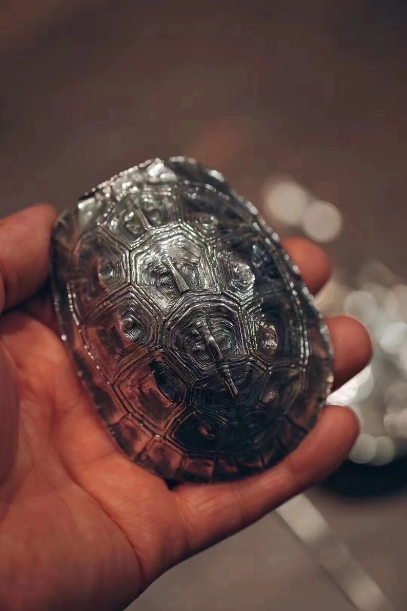 Silver Turtle-shell Like Tea Scoop With Long Tea Spoon for Serving ...