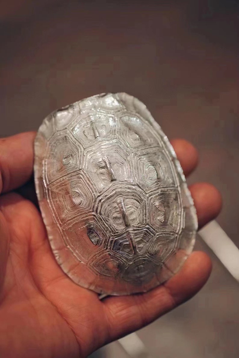 Silver Turtle-shell Like Tea Scoop With Long Tea Spoon for Serving ...