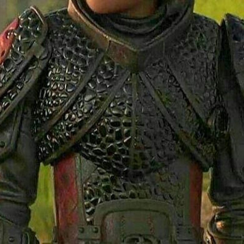 Httyd Armor - Etsy