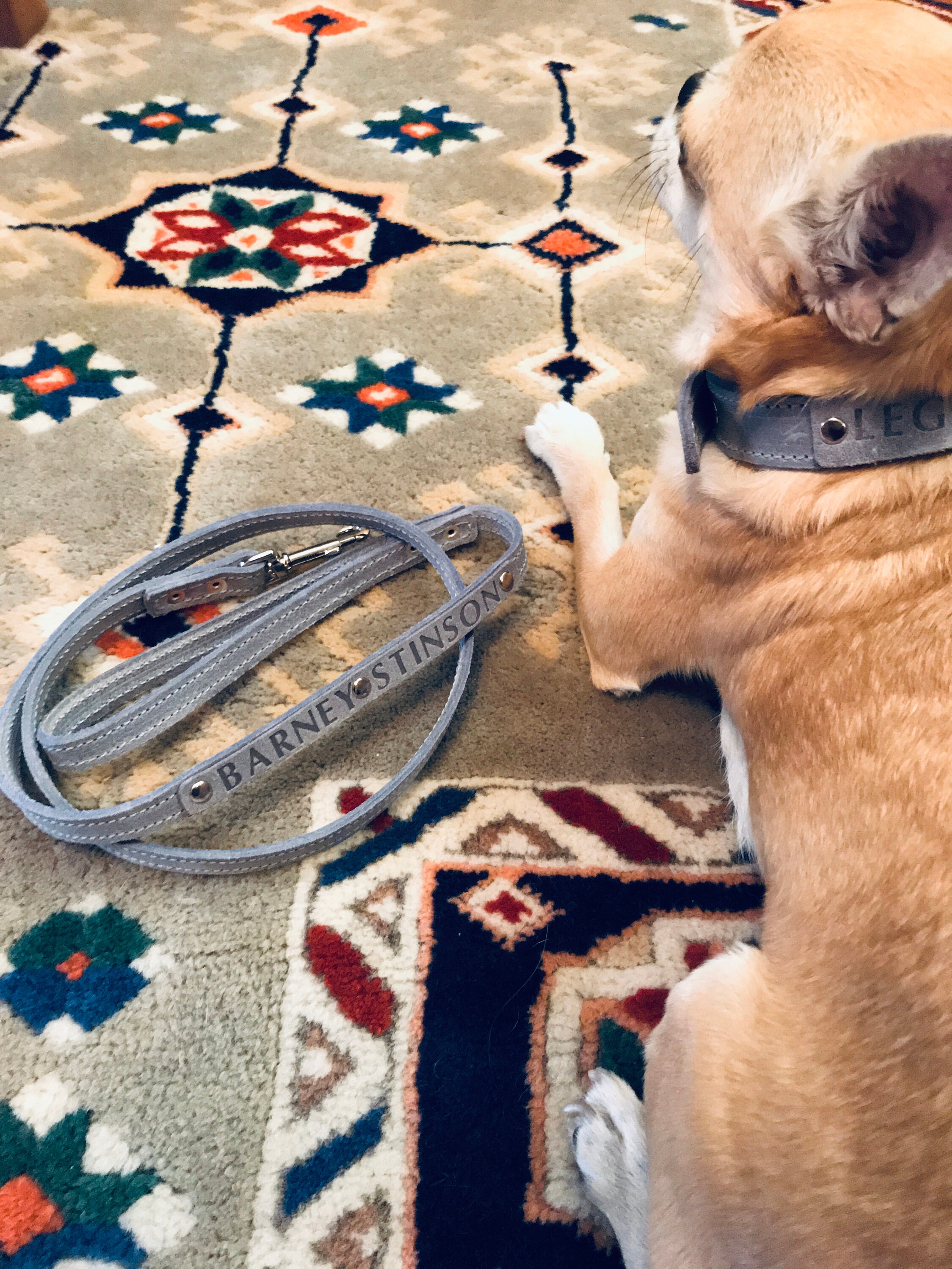 Custom Dog Leash With Name, Leather Dog Lead, Pet Leash, Personalized ...