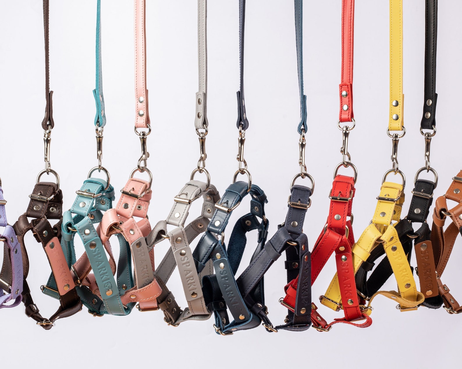 Leather Dog Harness Personalized Dog Harness and Leash Set Small Medium ...