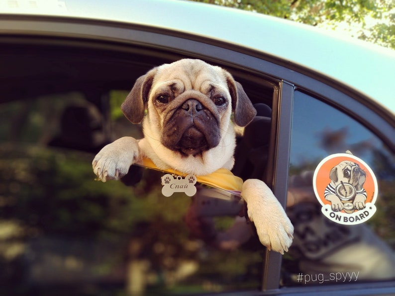 Pug on board car window sticker for women. Pug car sticker is | Etsy
