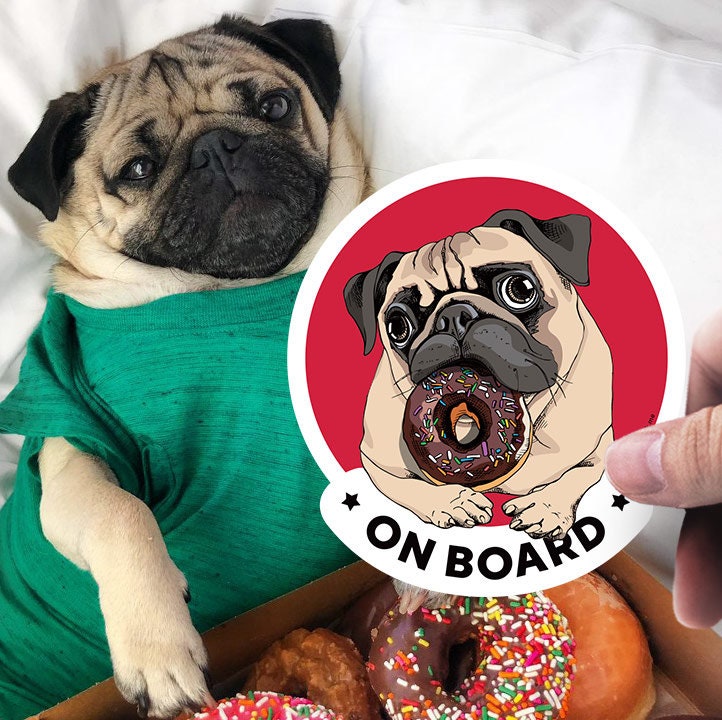Pug on Board Car Window Sticker Pack for Women. Pug Car | Etsy