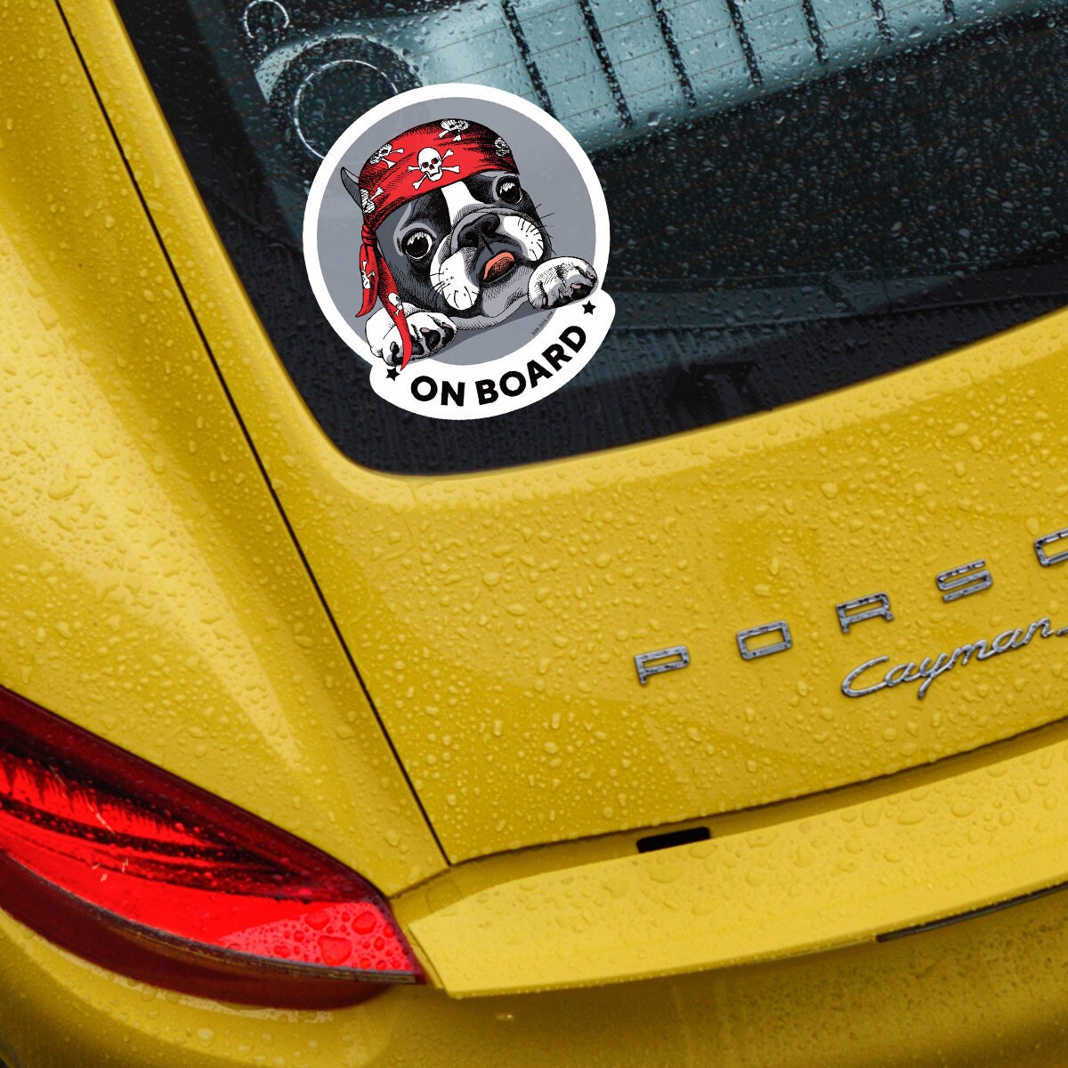 French Bulldog on Board Car Window Sticker for Women. Boston | Etsy