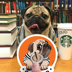 Pug on Board Car Window Sticker for Women. Pug Car Sticker is - Etsy