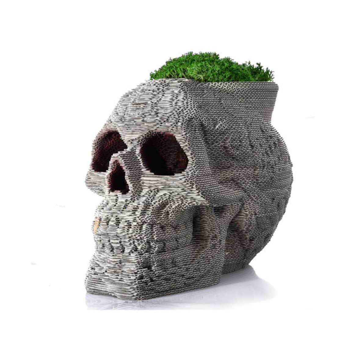 3D Cardboard Sculpture Human Skull Cardboard Sculpture DIY - Etsy