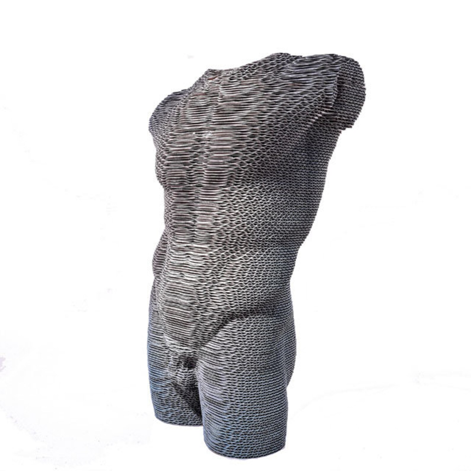 3D Cardboard Torso DIY Papercraft Art Home Decor Paper - Etsy