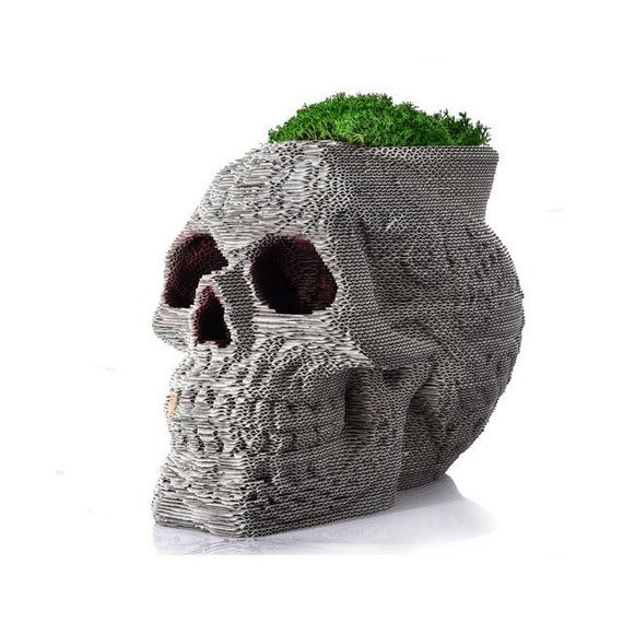 3D Human Skull Cardboard Sculpture Cardboard Sculpture Pot | Etsy