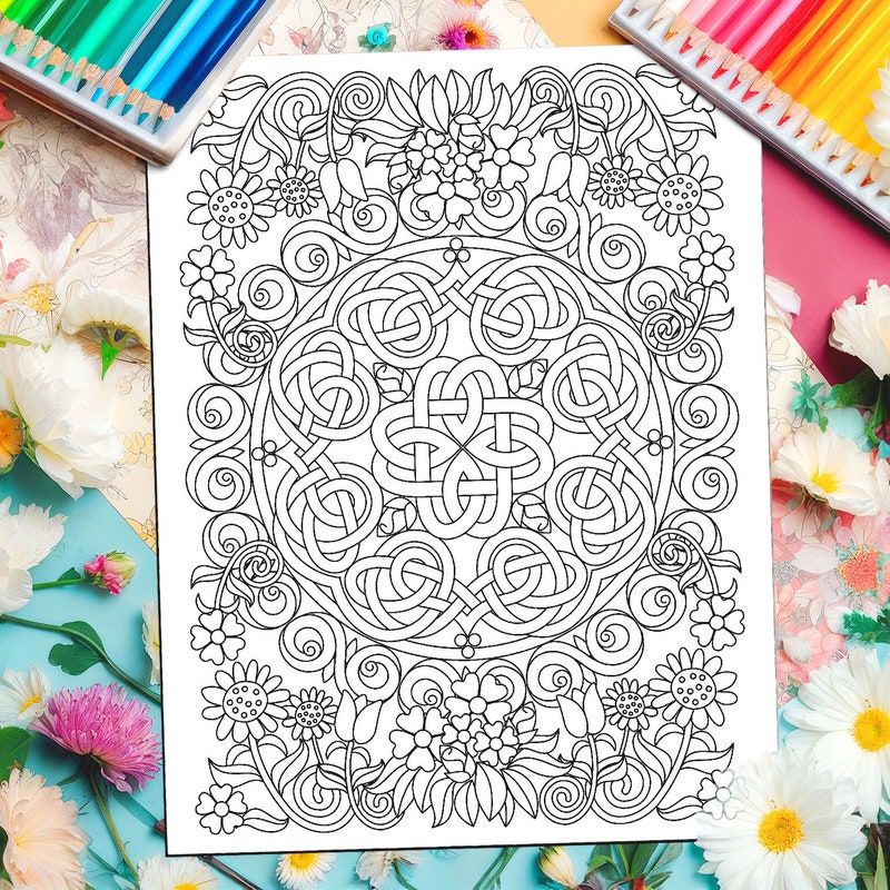 Bird Books of Ireland - Etsy