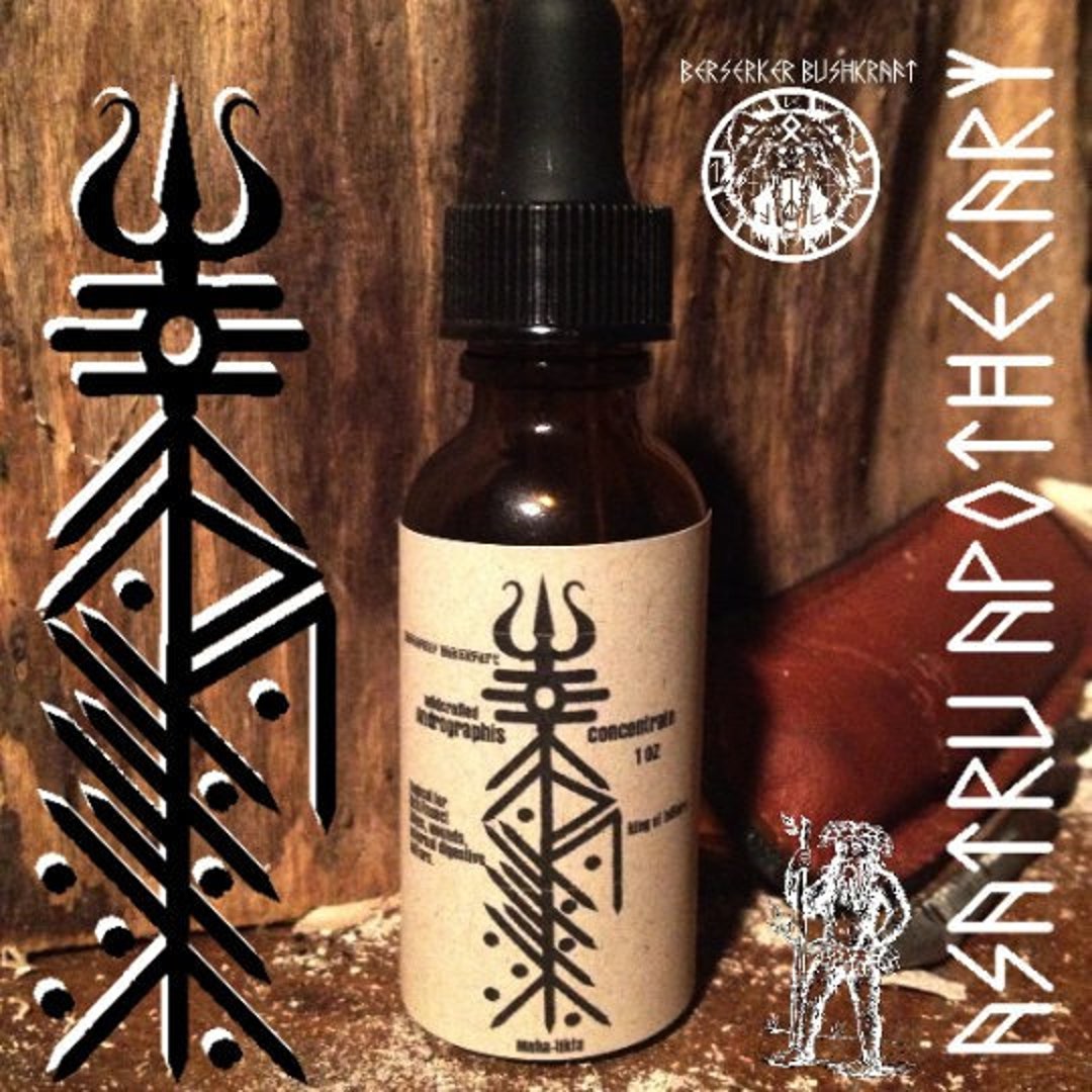 Andrographis Paniculata Tincture (1oz) King of Bitters, Bushcraft - Etsy