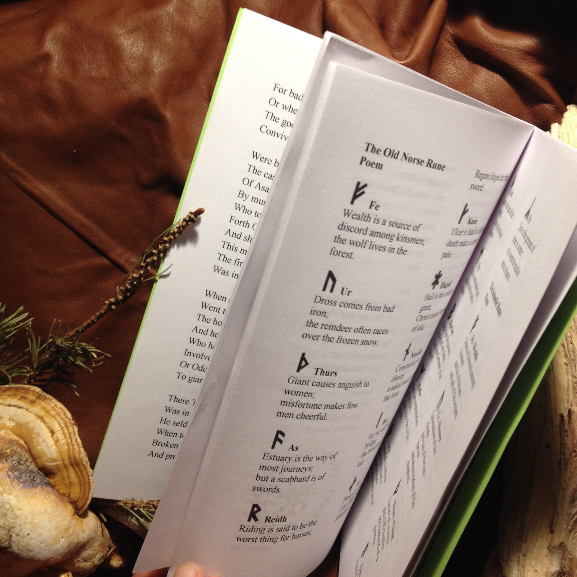 A Forest Reader, Rune Lore, Rune Zine, Rune Poem, Havamal, Voluspa ...