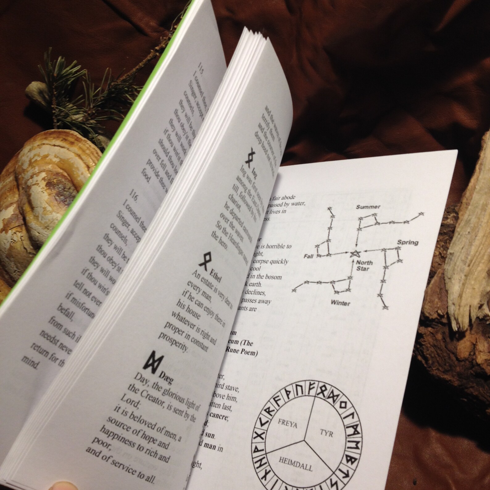 A Forest Reader, Rune Lore, Rune Zine, Rune Poem, Havamal, Voluspa ...