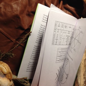 A Forest Reader, Rune Lore, Rune Zine, Rune Poem, Havamal, Voluspa ...