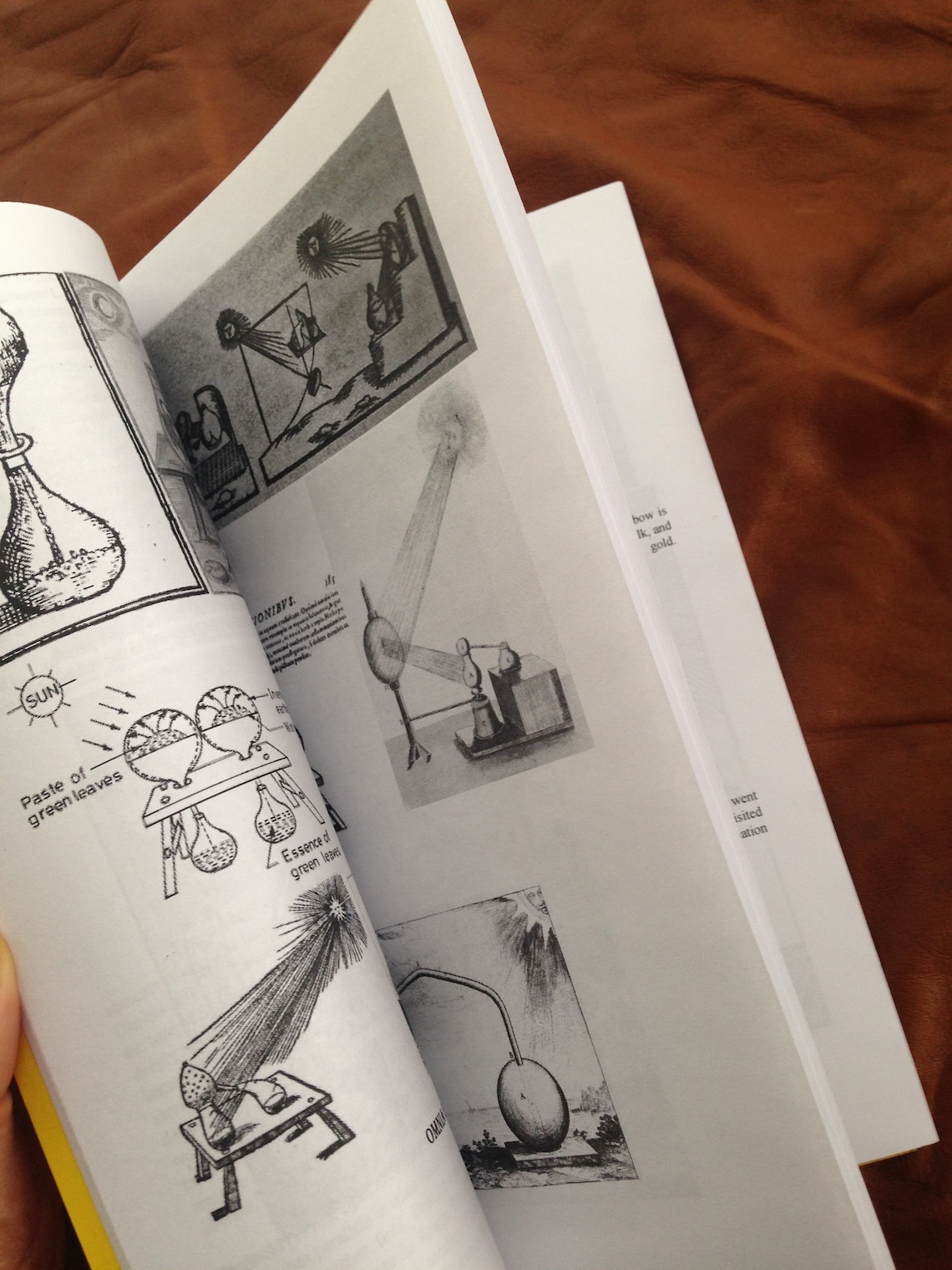 Sol Niger Vol. 1 (alchemy, Hyperborea, Theurgy, Spagyrics Research ...