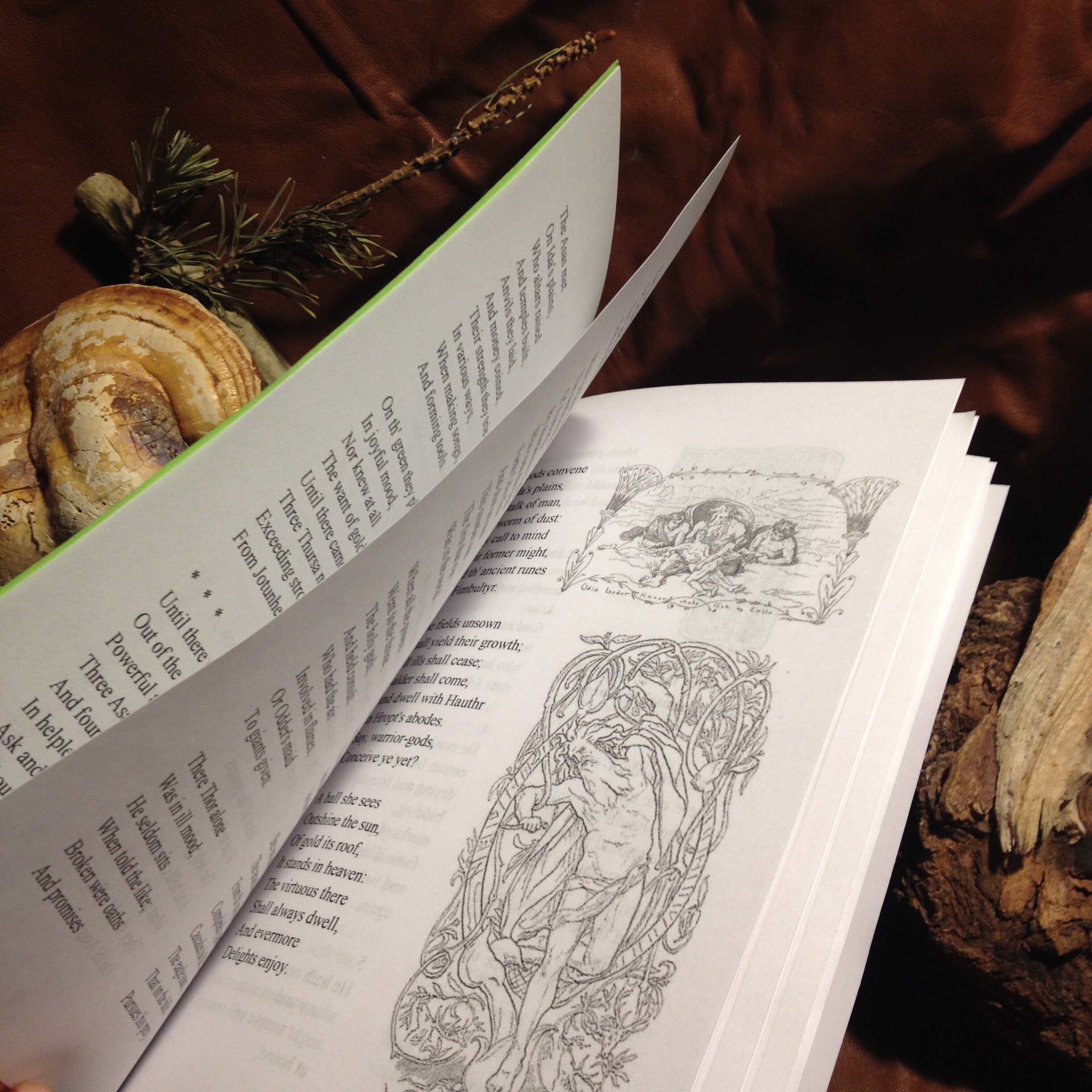 A Forest Reader, Rune Lore, Rune Zine, Rune Poem, Havamal, Voluspa ...