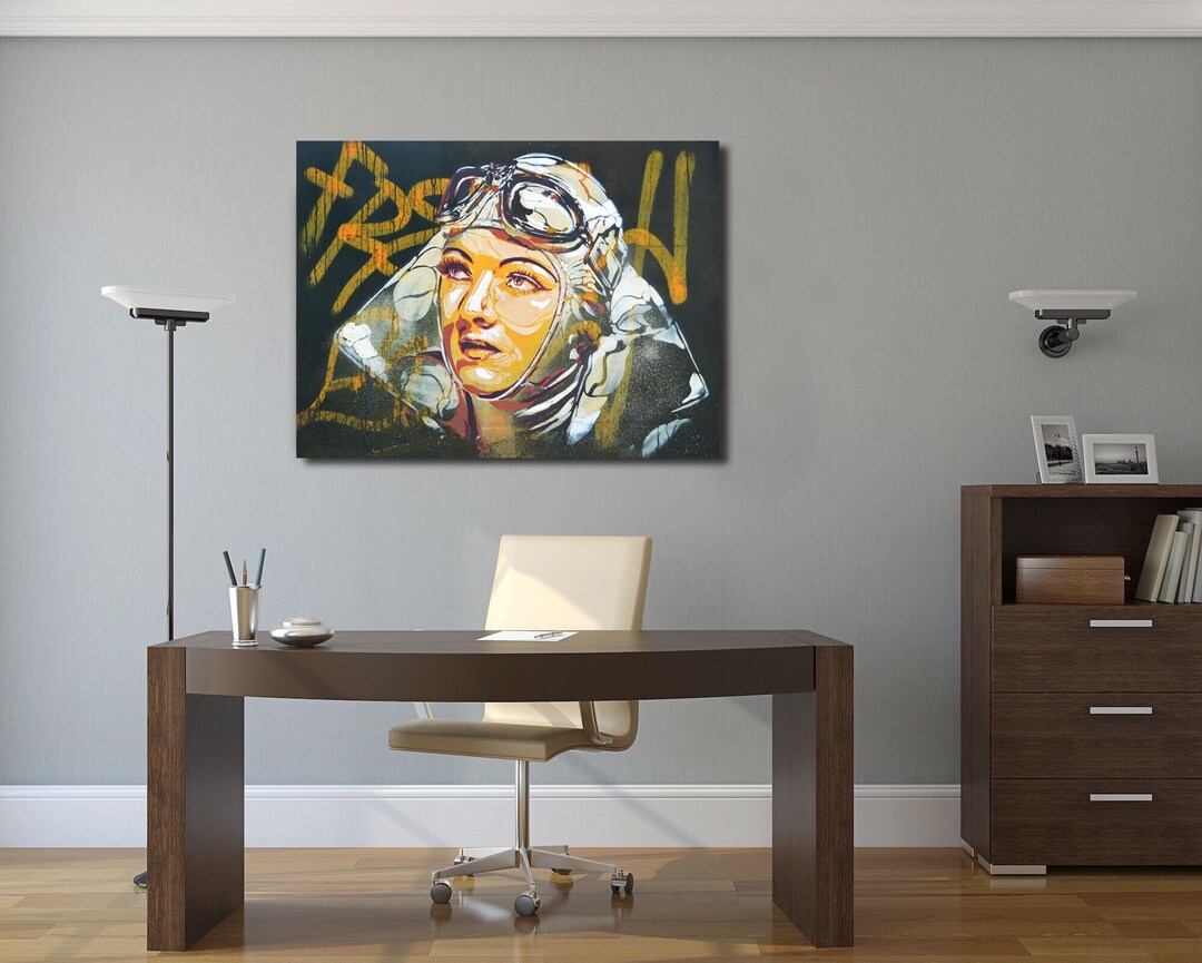 Courage amsterdam Female Pilot Graffiti Street Art on Metal, Extra ...