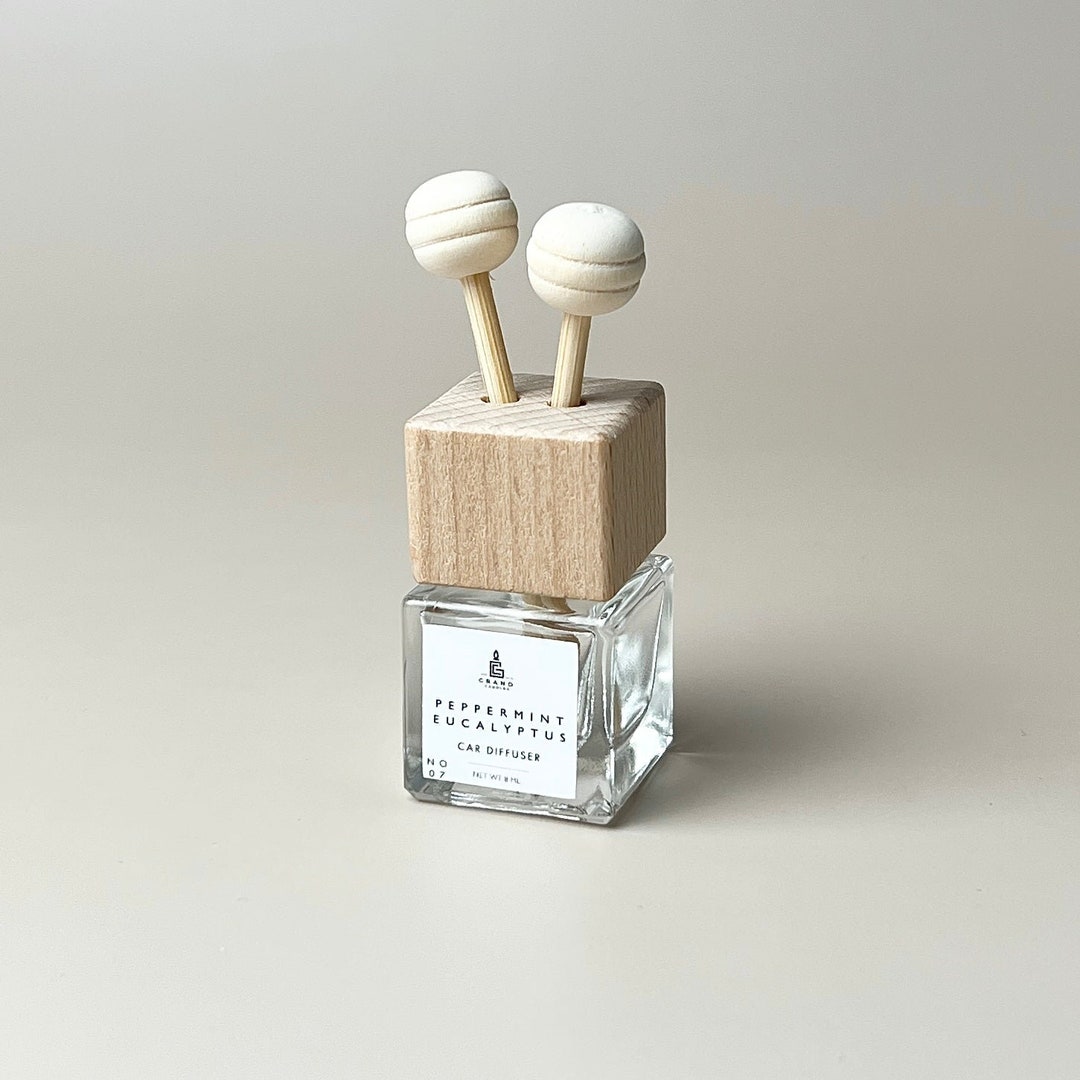 Peppermint Eucalyptus Car Diffuser - Car Air Freshener - Long Lasting ...