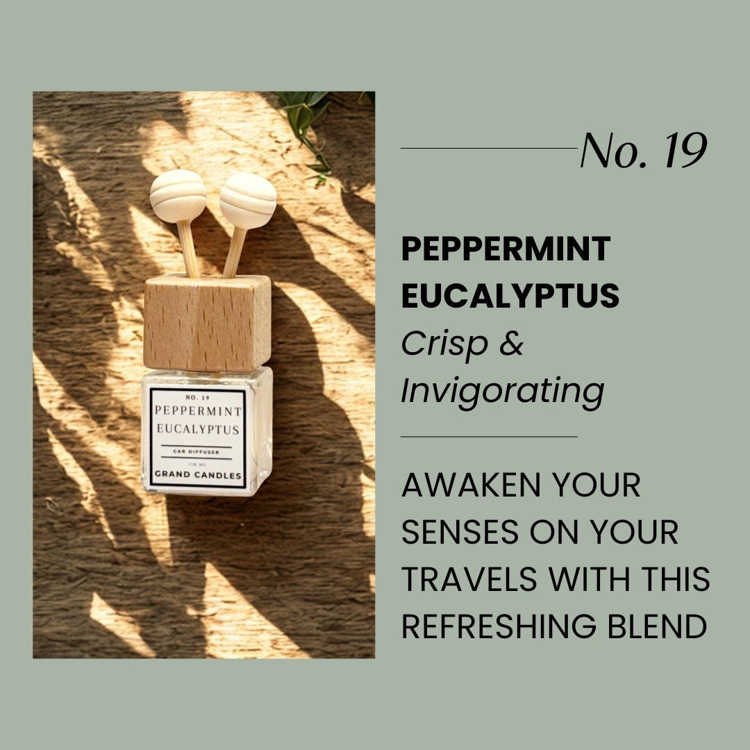Peppermint Eucalyptus Car Diffuser | Clean Herbal Car Scent | Long ...