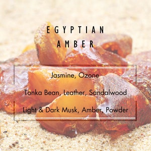 Egyptian Amber Reed Diffuser, Relaxing Spa Room Fragrance, Reed ...