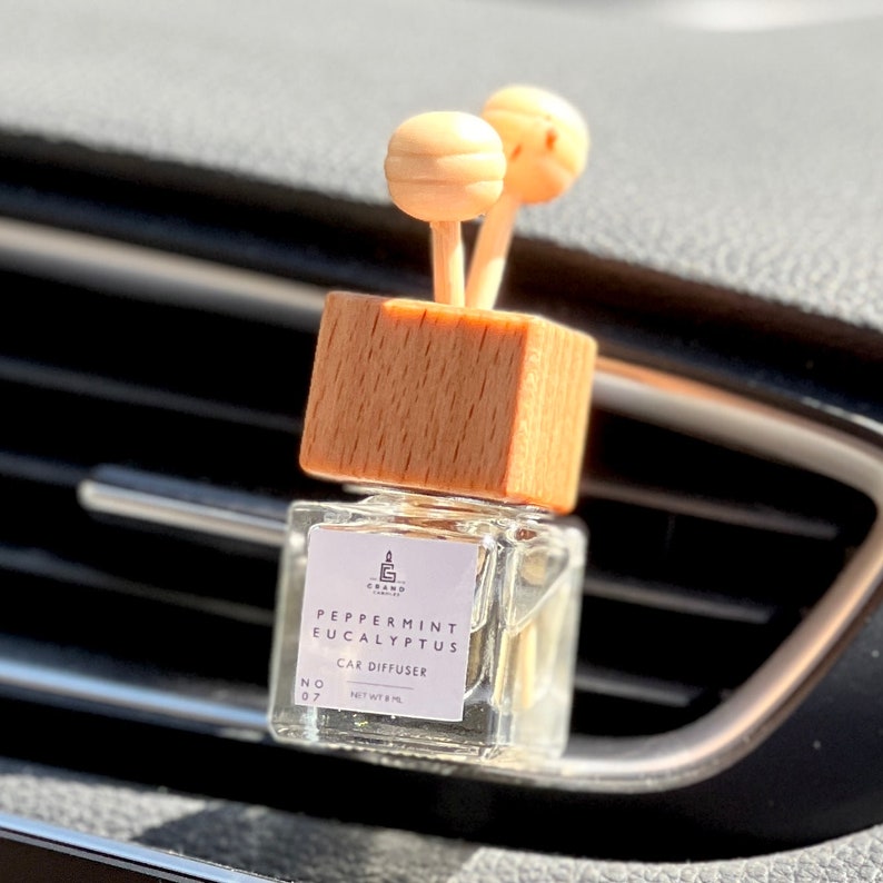 Black Sea Car Diffuser,non Toxic Car Diffuser, Car Freshies, Mini Car ...