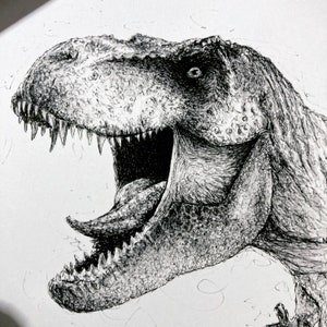 Limited Edition T-rex Pen Drawing, Jurassic Art Print (A4) - Etsy