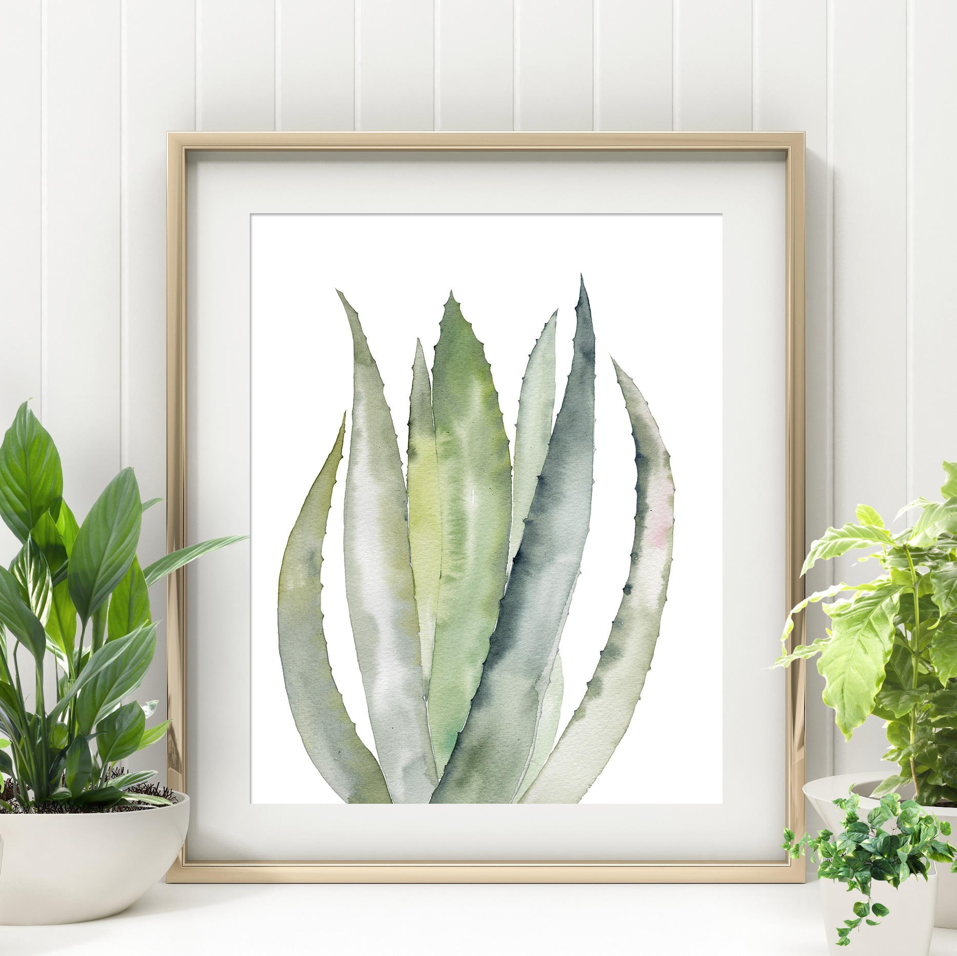 Succulents Photography Succulent Art Print Blue Botanical Print Cacti ...