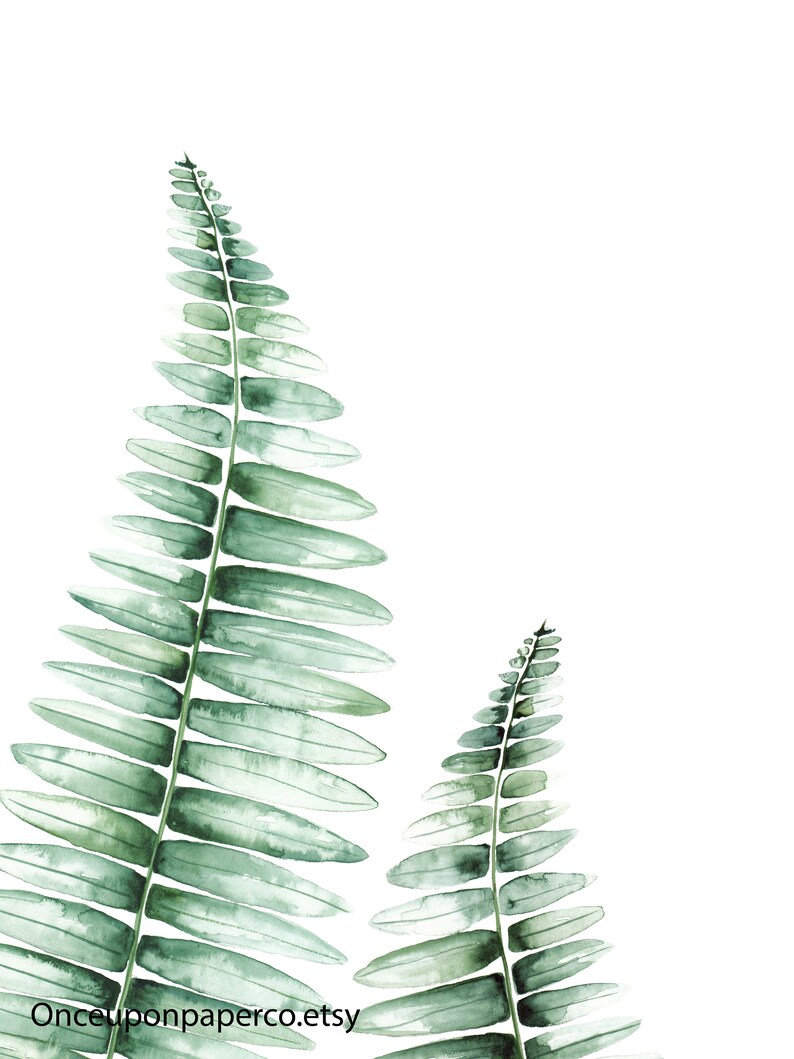 Green Watercolor Fern Print: Botanical Wall Art (digital Download) - Etsy