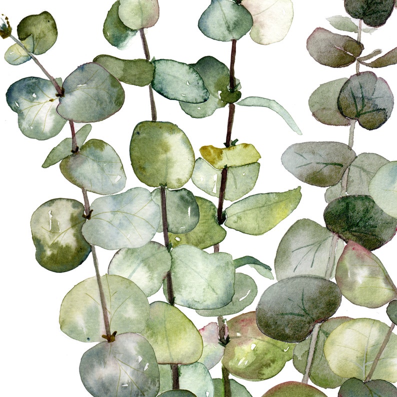 Eucalyptus Printable Eucalyptus Poster Eucalyptus Wall Art - Etsy Hong Kong