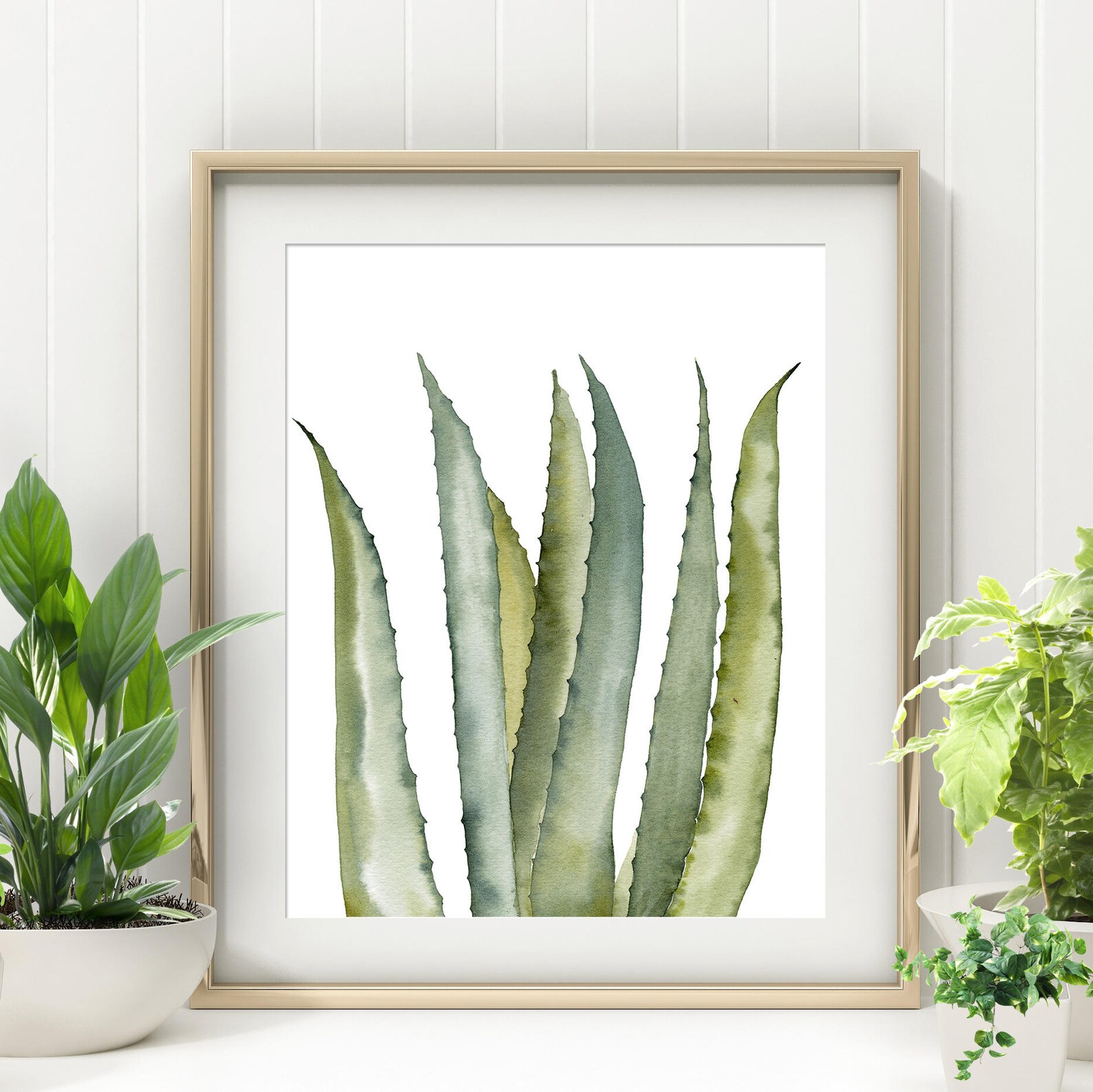 Cacti Print Botanical Poster Nature Poster Print Cactus | Etsy