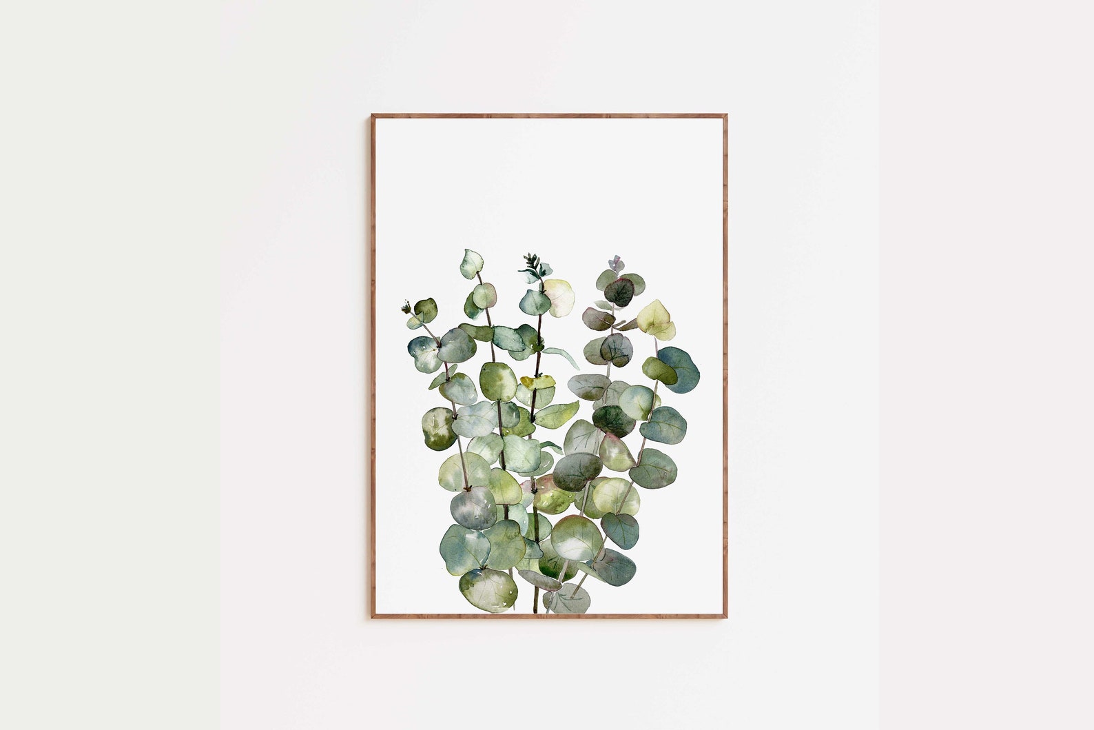 Eucalyptus Printable Eucalyptus Poster Eucalyptus Wall Art - Etsy Canada