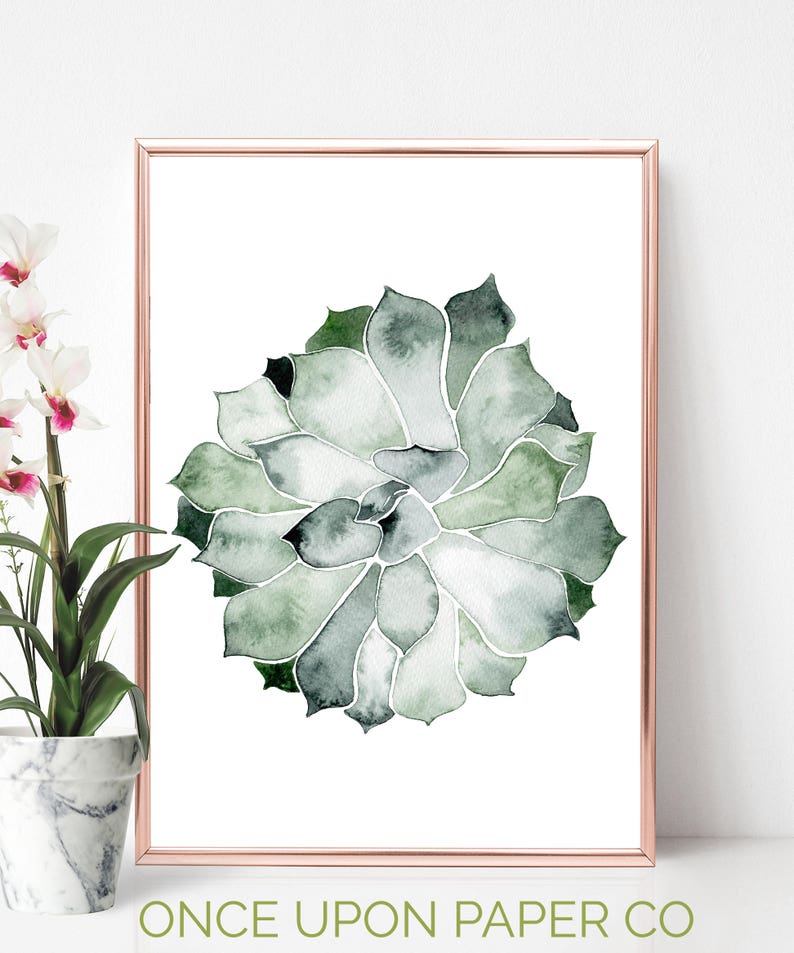 Cactus Print Succulent Print Cactus Art Printable Cactus - Etsy