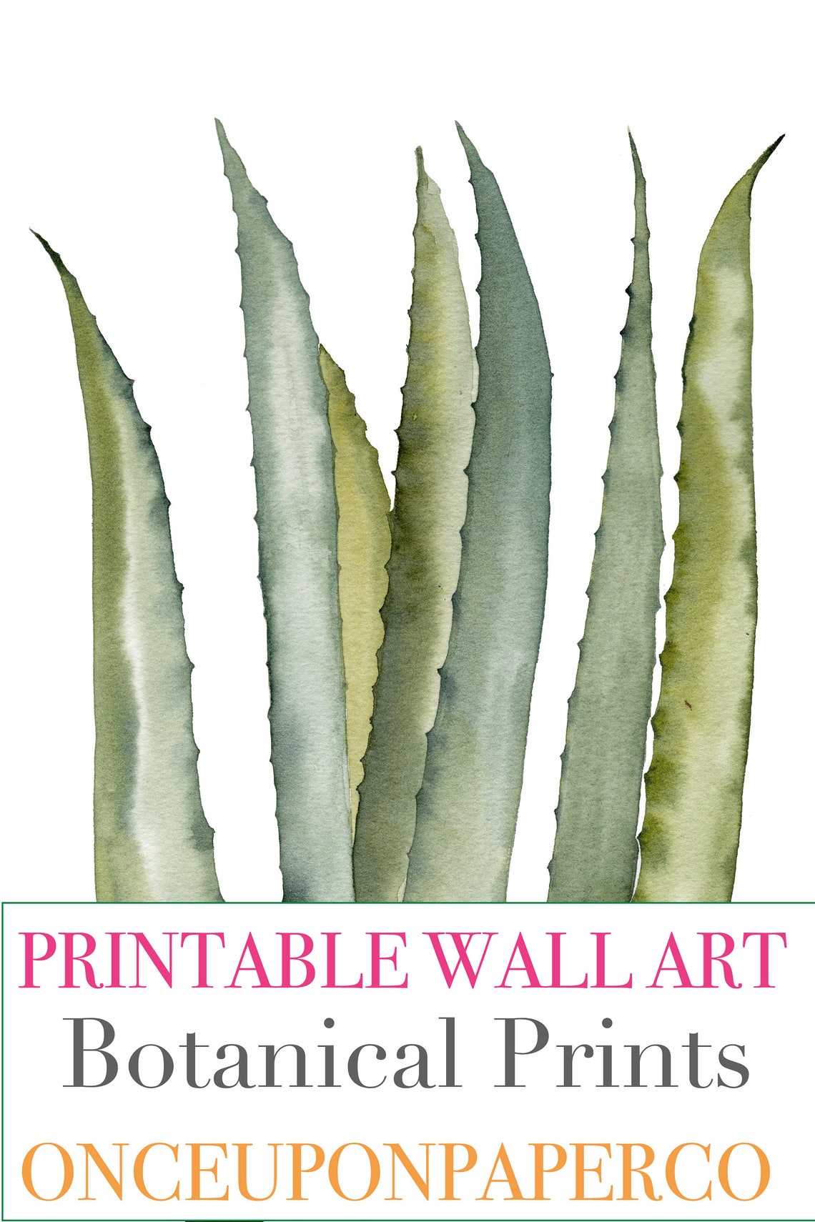 Cacti Print Botanical Poster Nature Poster Print Cactus - Etsy Hong Kong