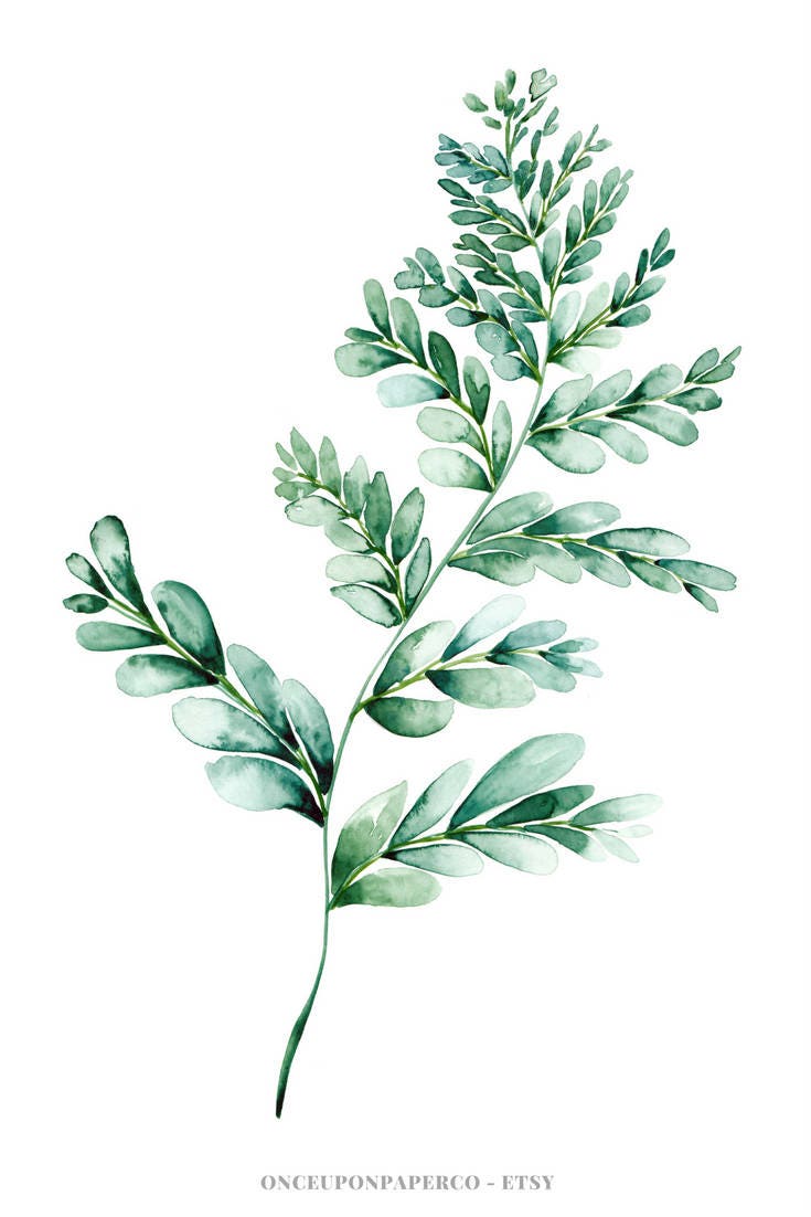 Fern print botanical wall art Gift for her Fern illustration | Etsy