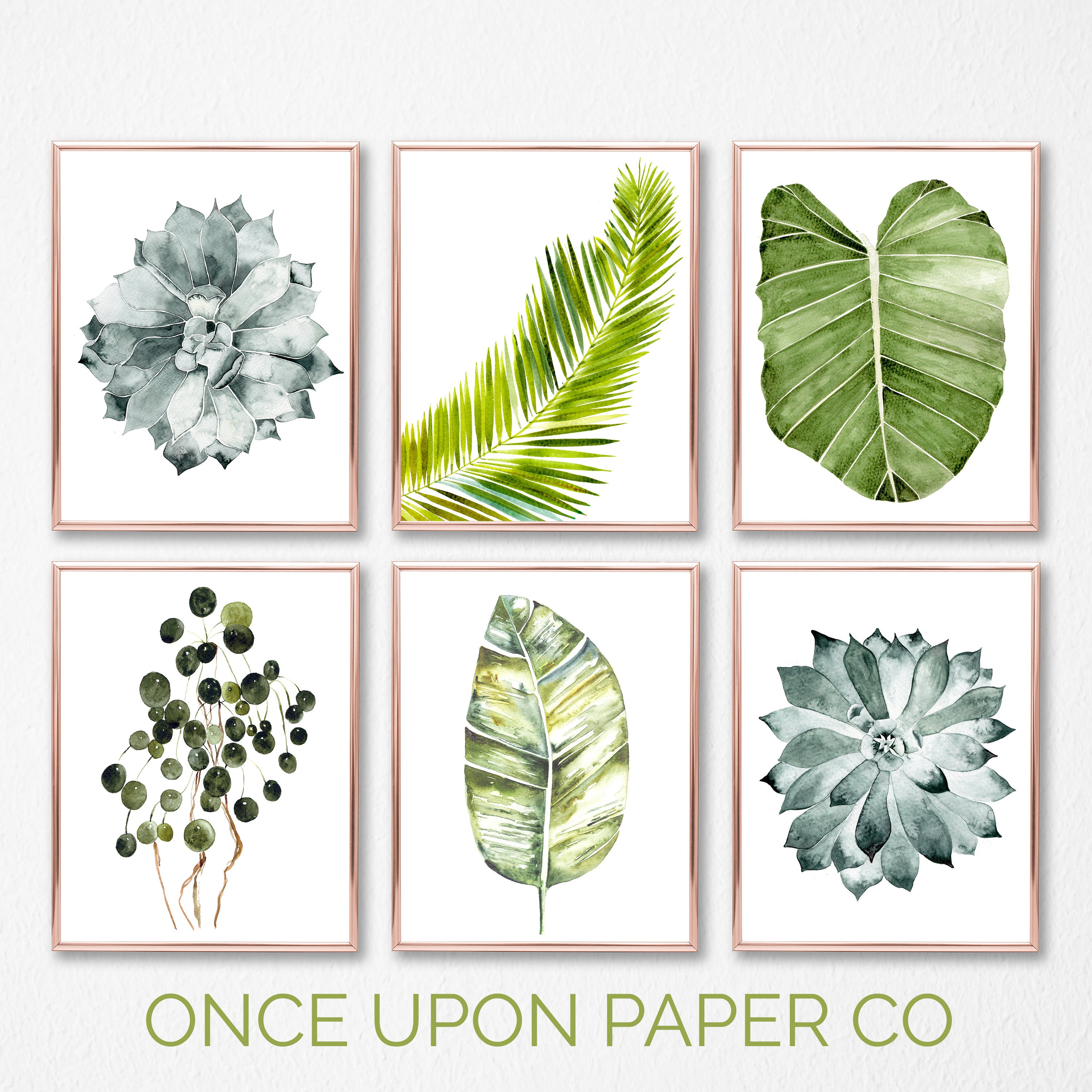 Botanical Print Fern Illustration Nature Print Plant Print - Etsy Hong Kong