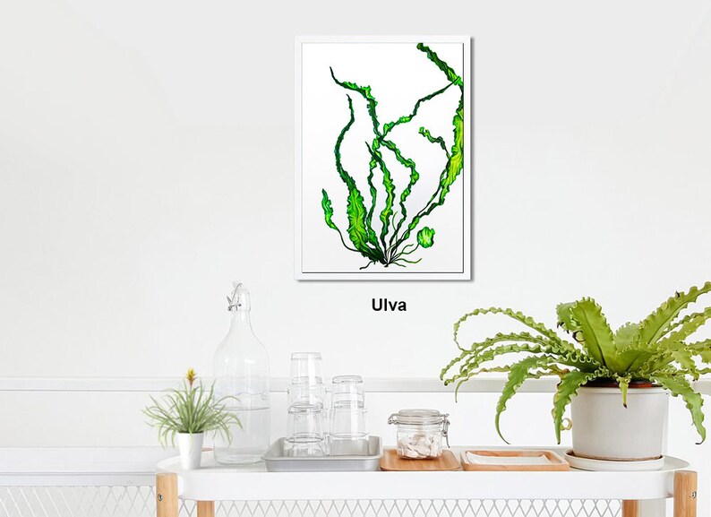 Macro Algae Art Prints Algae Wall Art Algae Press Seaweed - Etsy UK