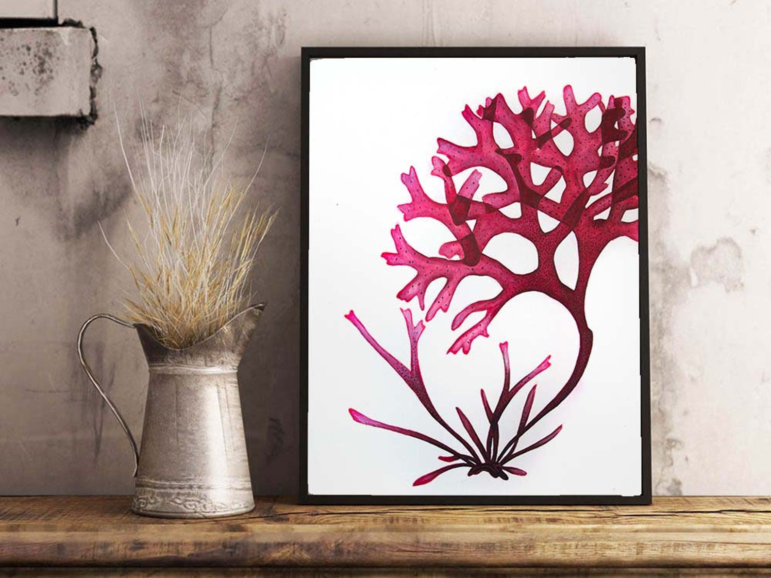 Macro Algae Art Prints, Algae Wall Art, Algae Press, Seaweed Art ...