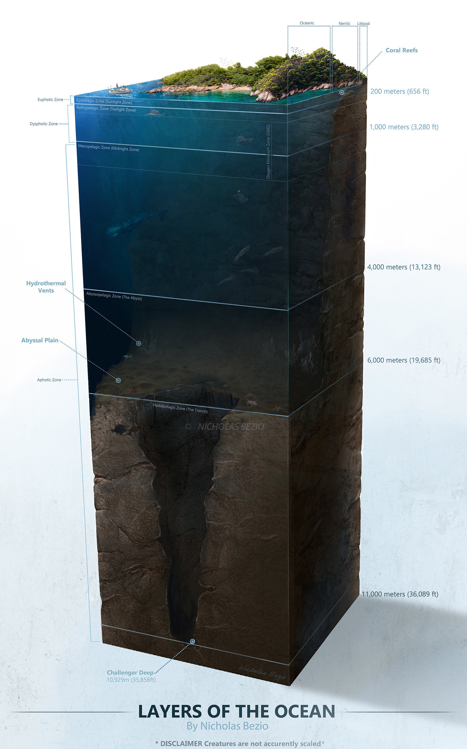 Ocean Layers Print: Marine Biology Art, Oceanography Poster - Etsy
