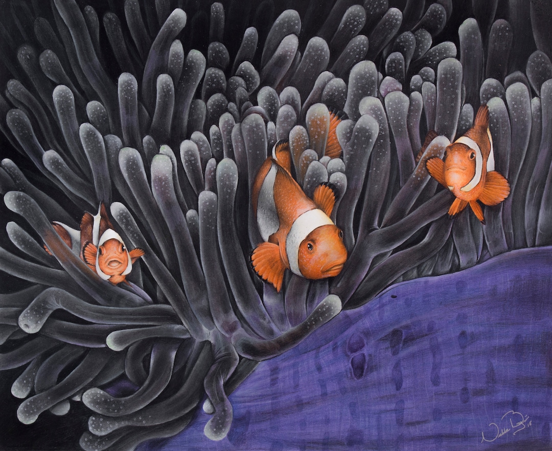 Clownfish Print, Ocean Print, Clownfish Wall Art, Fish Poster ...