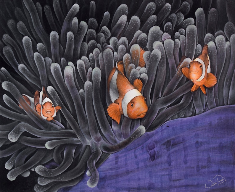 Clownfish Print, Ocean Print, Clownfish Wall Art, Fish Poster ...