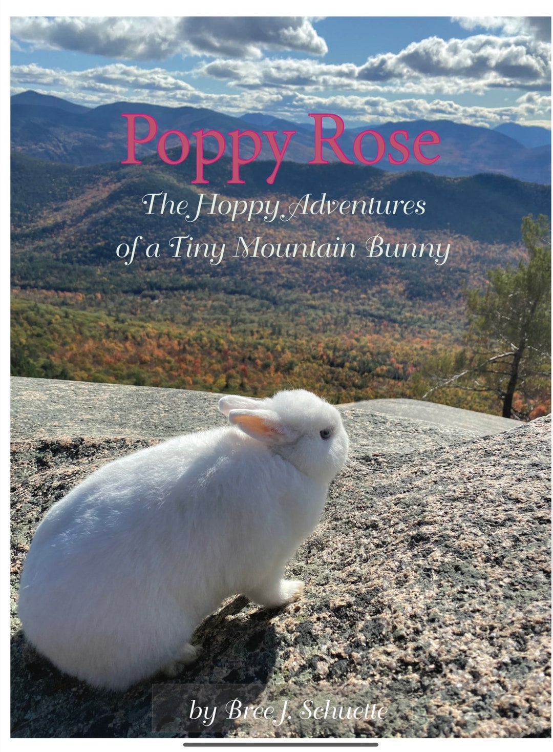 Poppy Rose, the Hoppy Adventures of a Tiny Mountain Bunny - Etsy