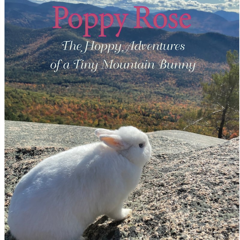 Green Mountain Roses - Etsy