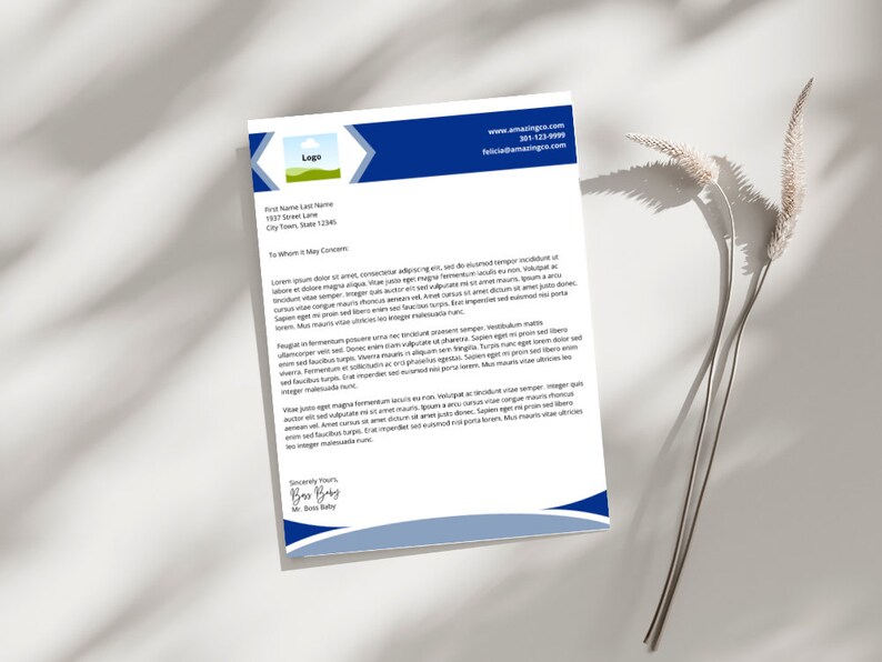 Bold & Beautiful | Striking Letterhead Template - Make an Impact With ...