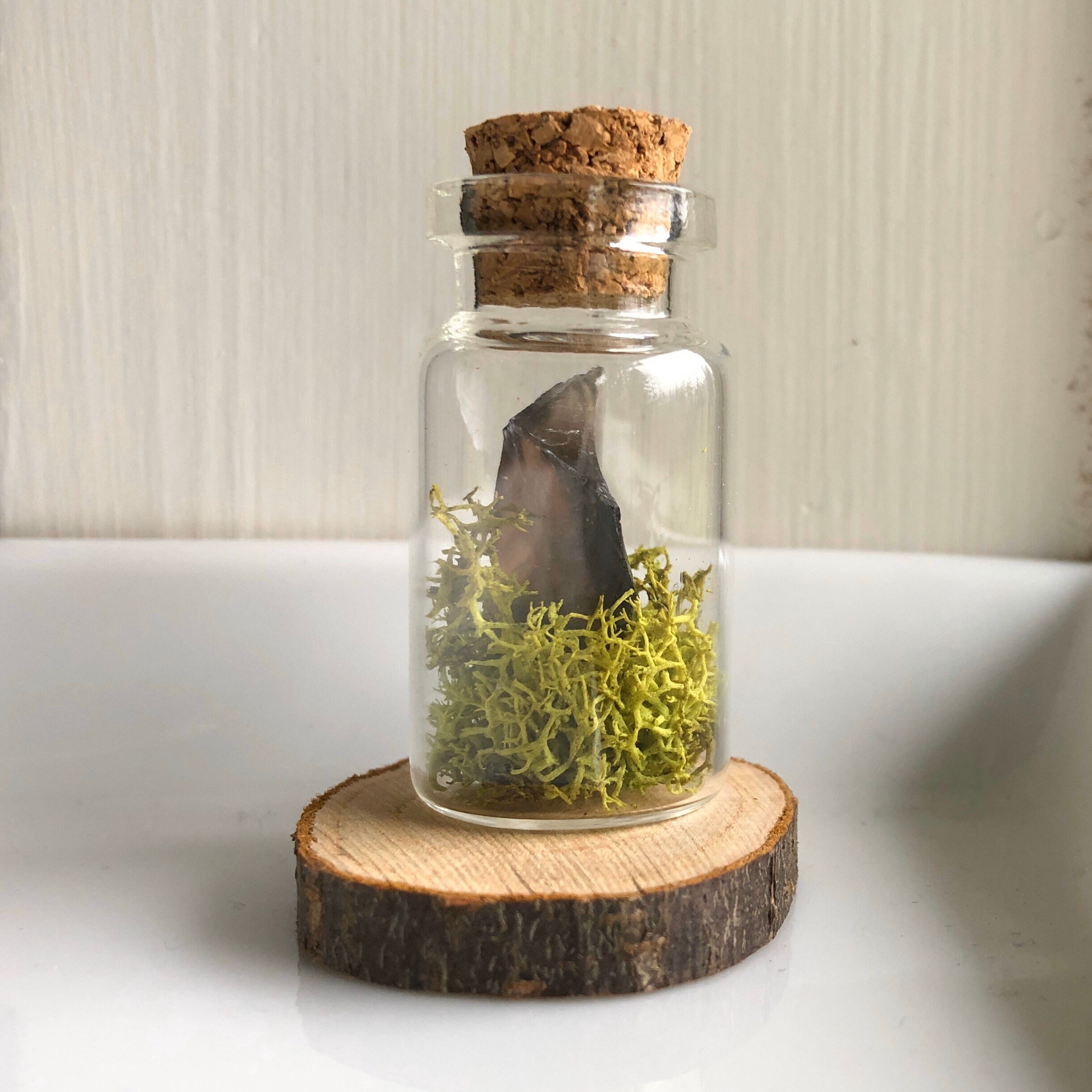 Mini Bottle Terrarium / Moss Terrarium / Mini Bottle / Crystal | Etsy