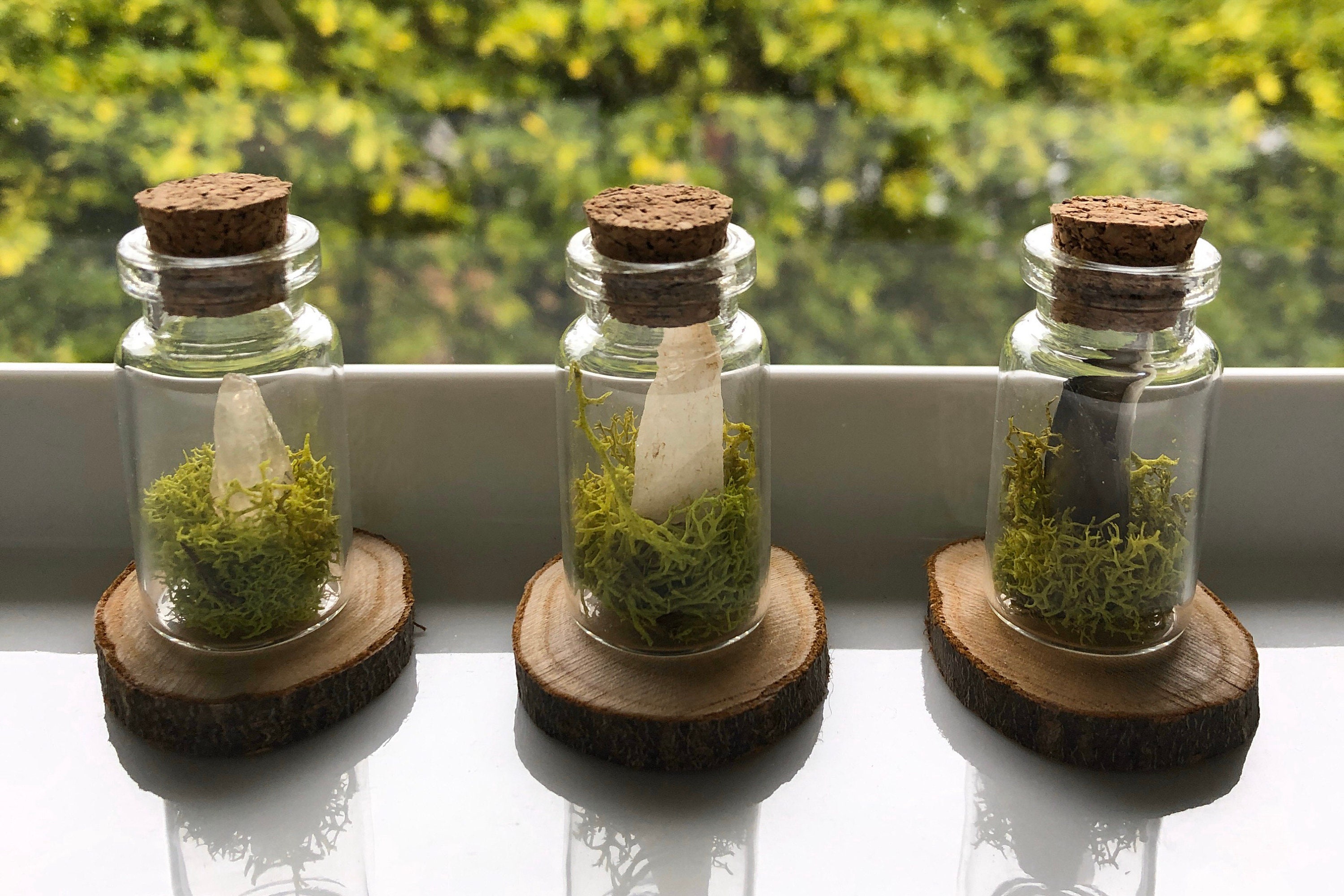Mini Bottle Terrarium / Moss Terrarium / Mini Bottle / Crystal | Etsy