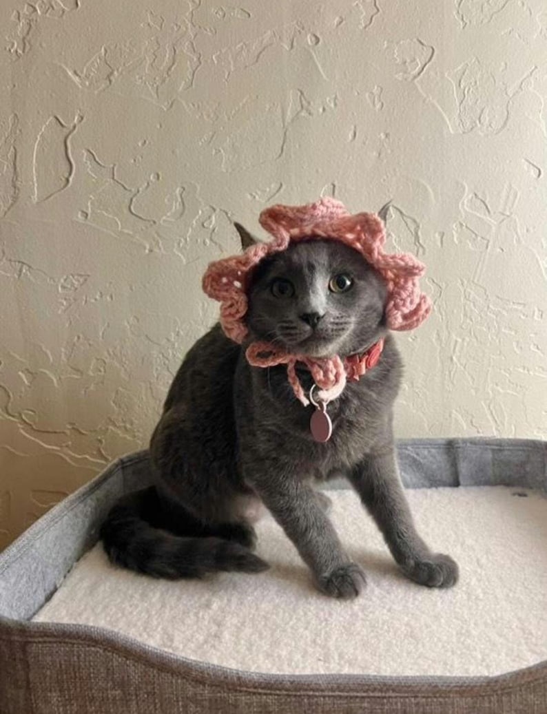 Matching Cat and Owner Bucket Hat - Etsy