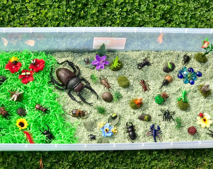 Bugs & Insects Sensory Bin Kit for Extra Large Bin - Etsy