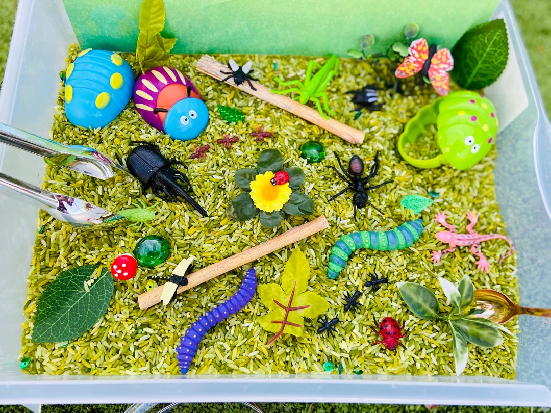 Bugs / Insects Sensory Play Kit, Sensory Sand & Rice Fillers - Etsy