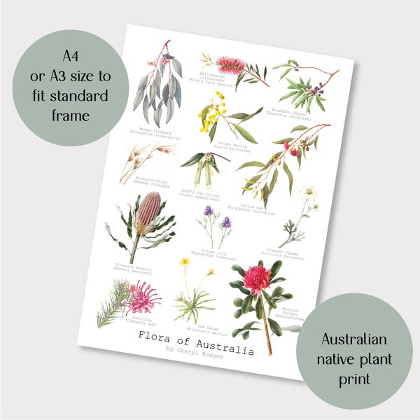 Australian - Etsy Australia