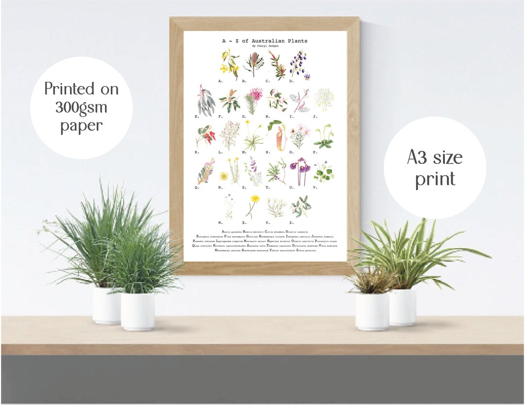 Australian Plants A-Z Poster, Alphabet Print Australian Wildflowers ...